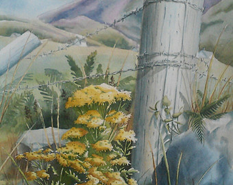 Watercolors – Amy Browning Fine Art