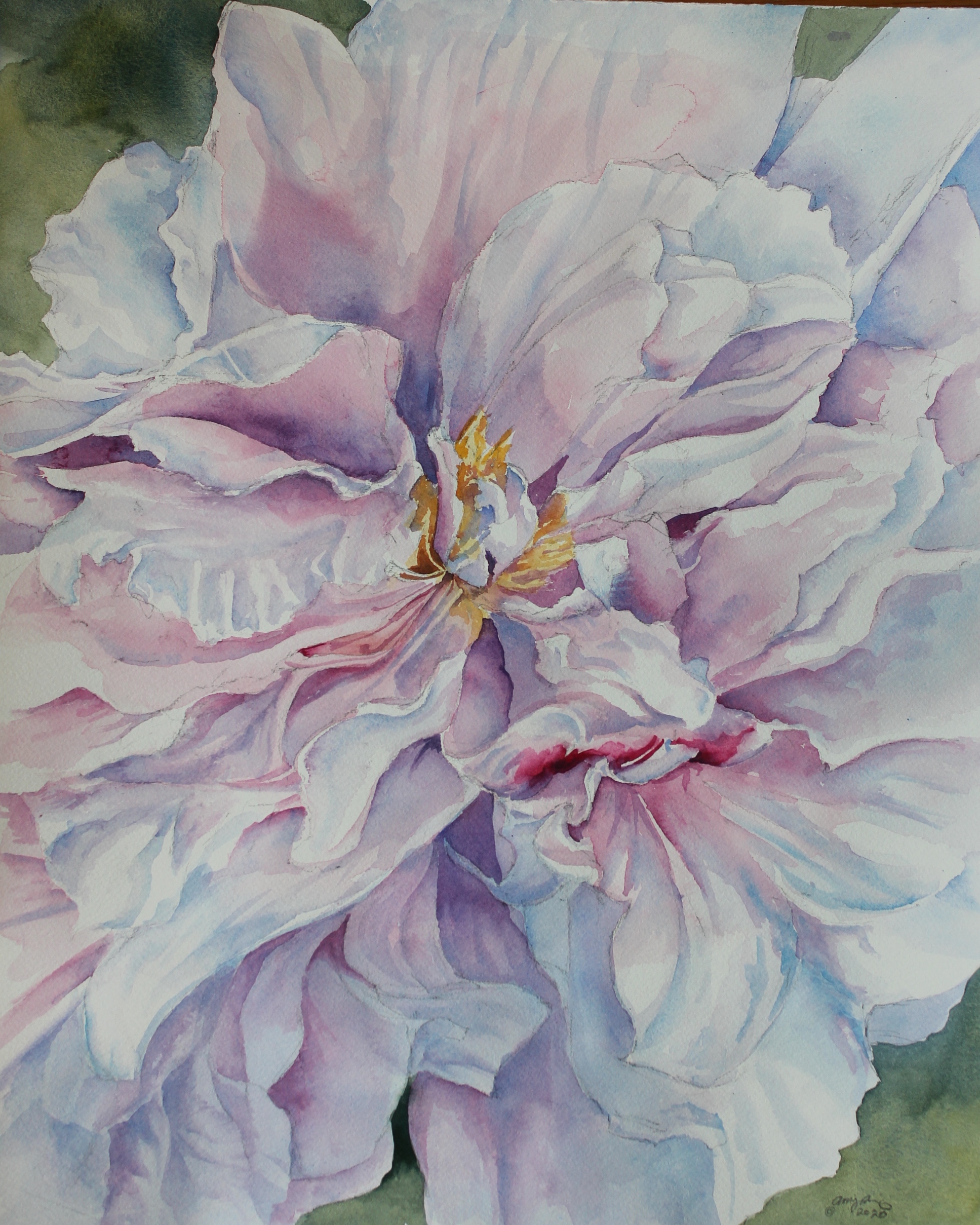 Watercolors – Amy Browning Fine Art